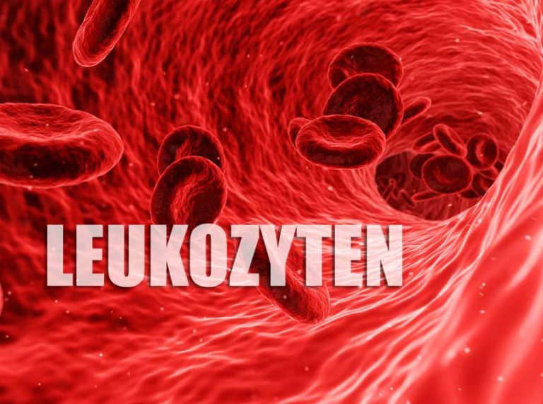 Blutwerte - Bedeutung, Normwerte und mögliche Abweichungen